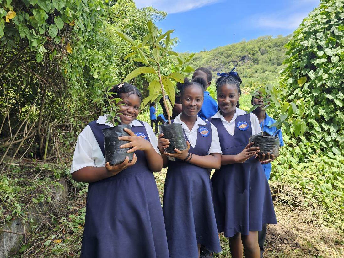 Efforts to protect the environment for future generations get full marks