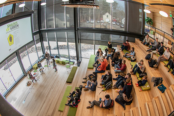 Exploring Germany's Role in Protecting the Environment